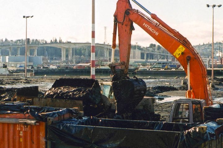 Full-Spectrum Environmental Planning and Restoration | Anchor QEA