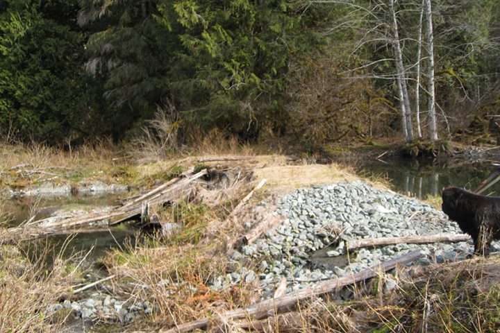 Dam Removal and Fish Passage - Anchor QEA
