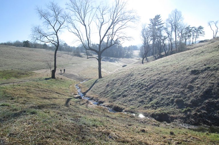 Stream Mitigation Bank Assessment - Anchor QEA