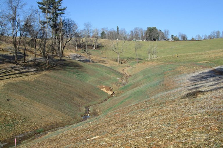 Stream Mitigation Bank Assessment - Anchor QEA