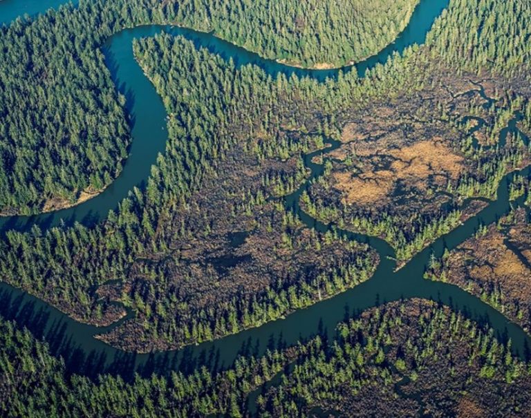 Chehalis Basin Strategy - Anchor QEA