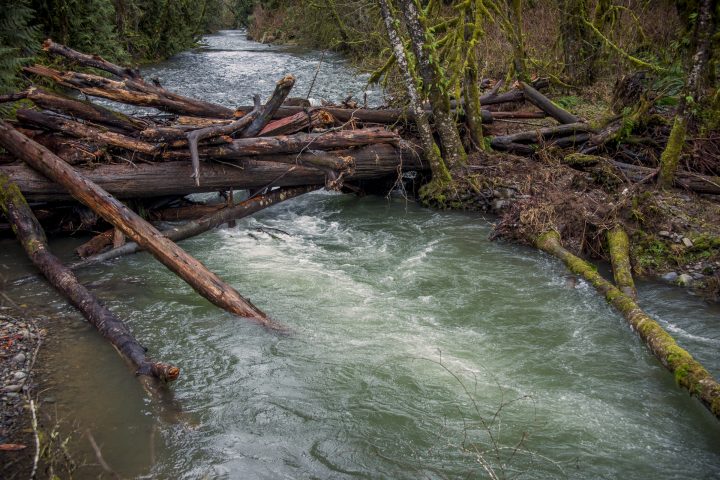 Chehalis Basin Strategy - Anchor QEA