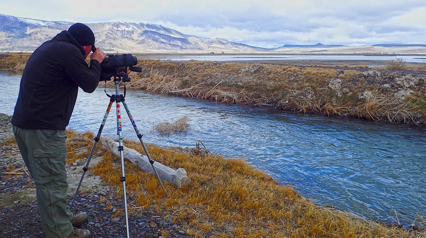 Engineering, Environmental Science & Restoration | Anchor QEA