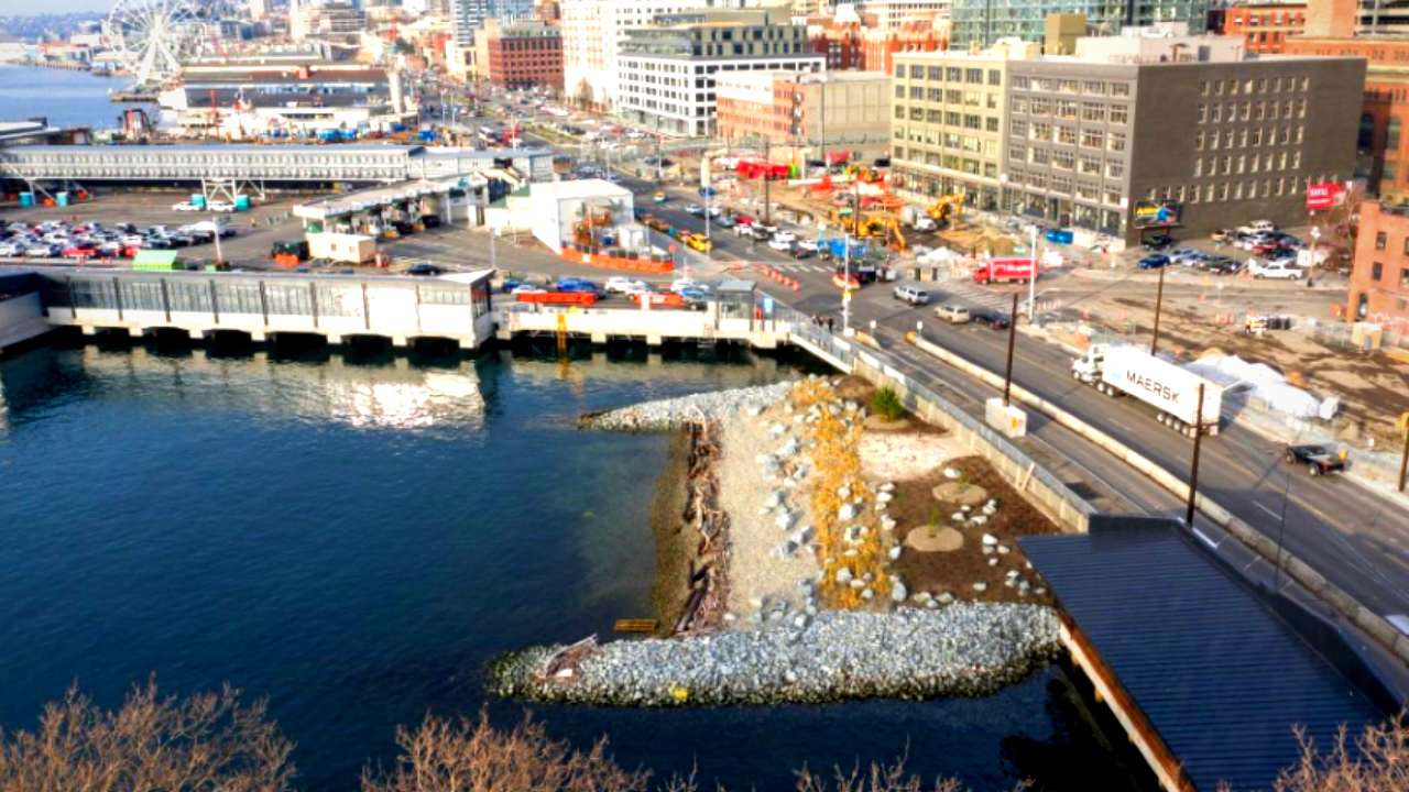A Lasting Positive Impact: Habitat Intertidal Zone Project Wins ...