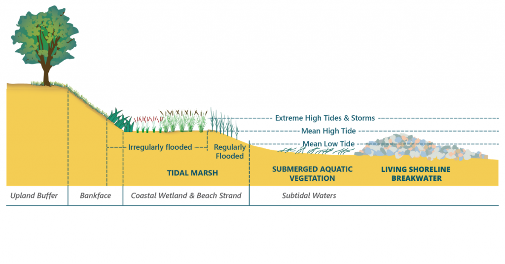 Beyond Coastal Restoration: A Strategy for Making the Texas Coast More ...