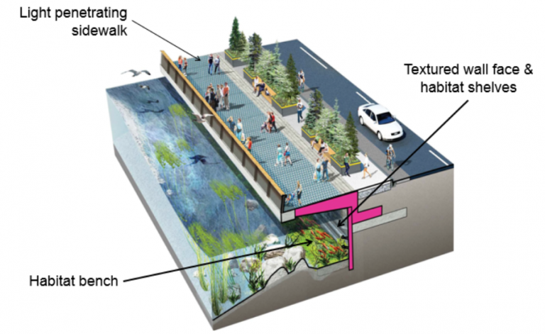 Elliott Bay Seawall Replacement and Habitat Restoration - Anchor QEA