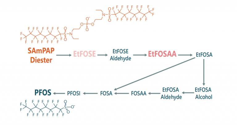 Addressing PFAS in the Environment Part 3: Anchor QEA’s Sediment and ...