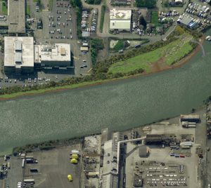 Port of Seattle Wetland Mitigation and Habitat Conservation Umbrella ...