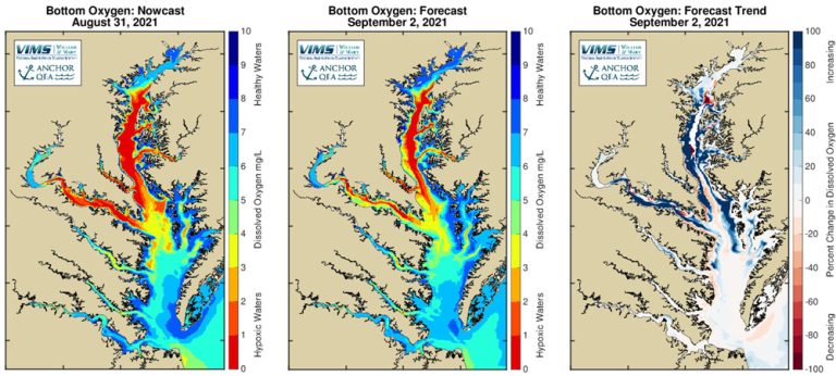 2022 Chesapeake Bay Dead Zone Report Released - Anchor QEA