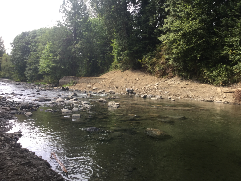 Pilchuck Dam Removal and River Restoration - Anchor QEA