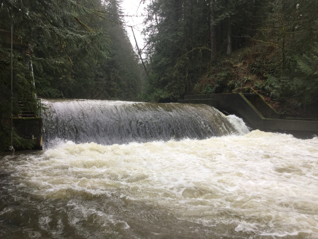 Pilchuck Dam Removal and River Restoration - Anchor QEA