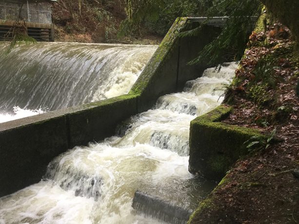 Pilchuck Dam Removal and River Restoration - Anchor QEA